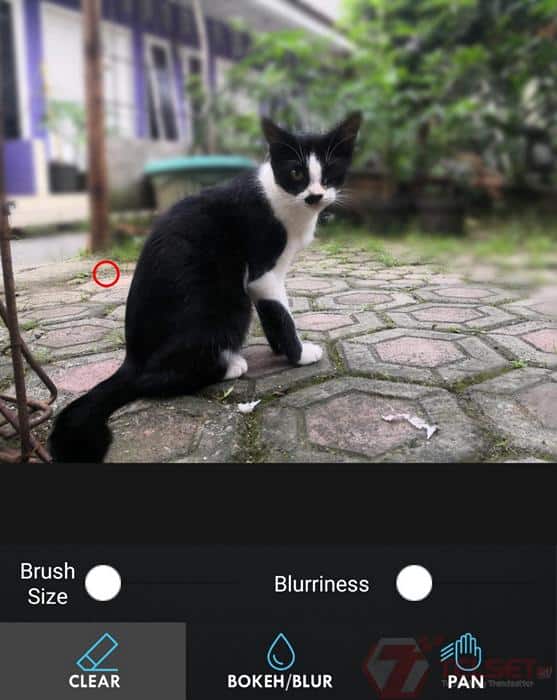 5 Cara Foto Bokeh di Smartphone Pakai Single Kamera | Telset