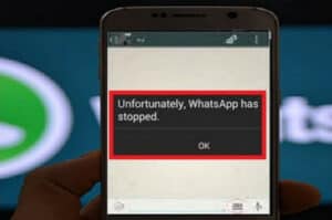 15 Cara Jitu Mengatasi WhatsApp Error, Kenali Penyebabnya! | Telset