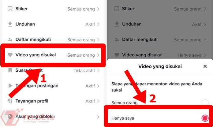 Cara Sembunyikan Daftar Video yang Disukai di TikTok | Telset